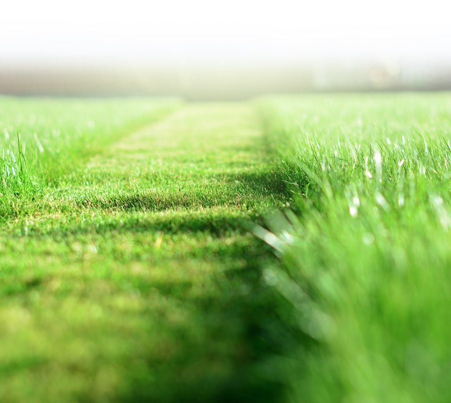 Tulsa Lawn Care | We Know How To Kick Grass